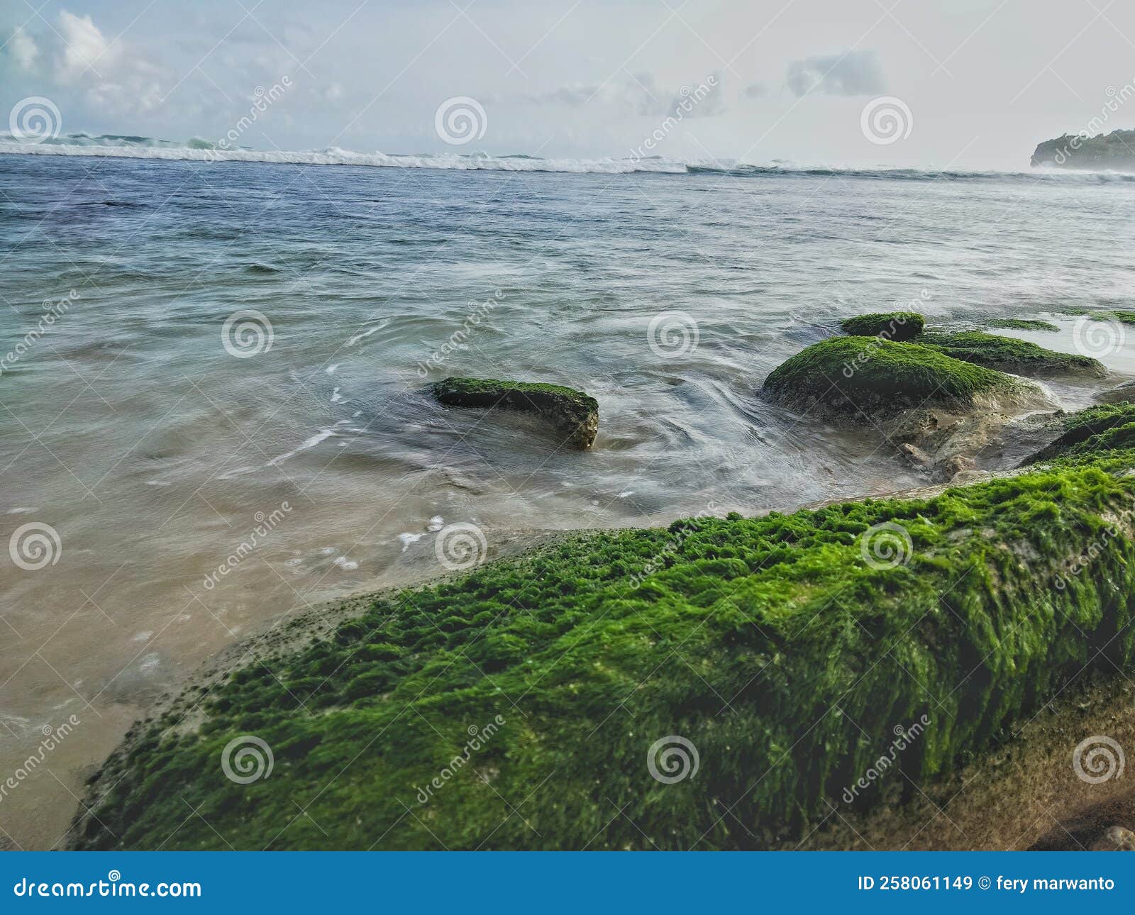 Mossy rock on the beach stock image. Image of beach - 258061149