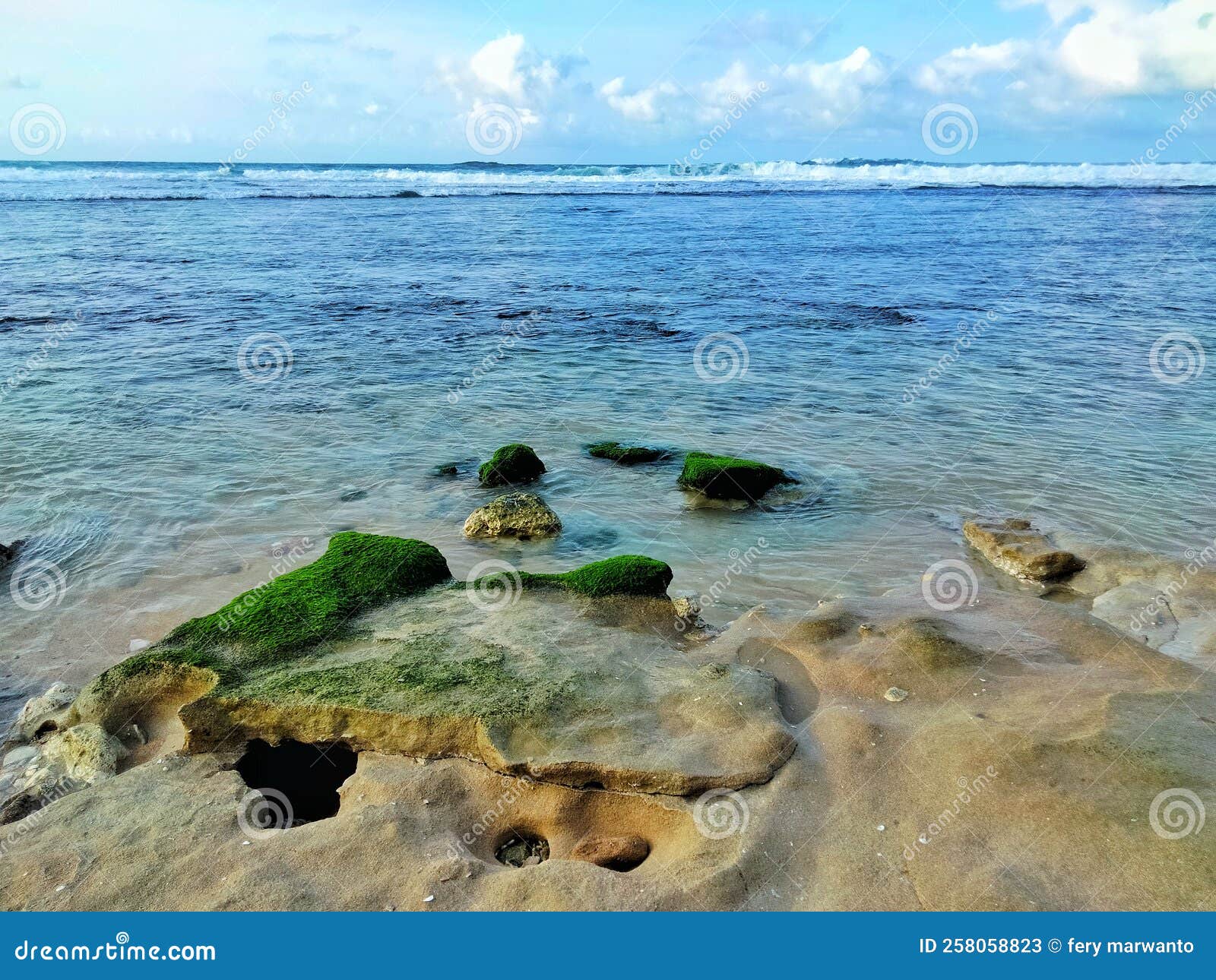 Mossy rock on the beach stock image. Image of vacation - 258058823