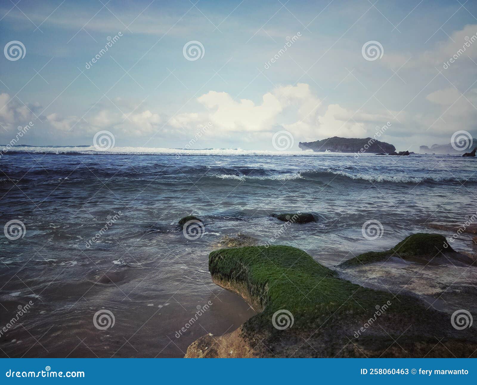 Mossy rock on the beach stock image. Image of cliff - 258060463