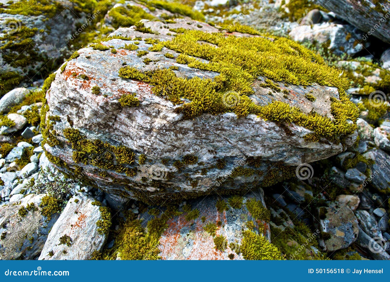Mossy Rock stock photo. Image of outside, grey, green - 50156518