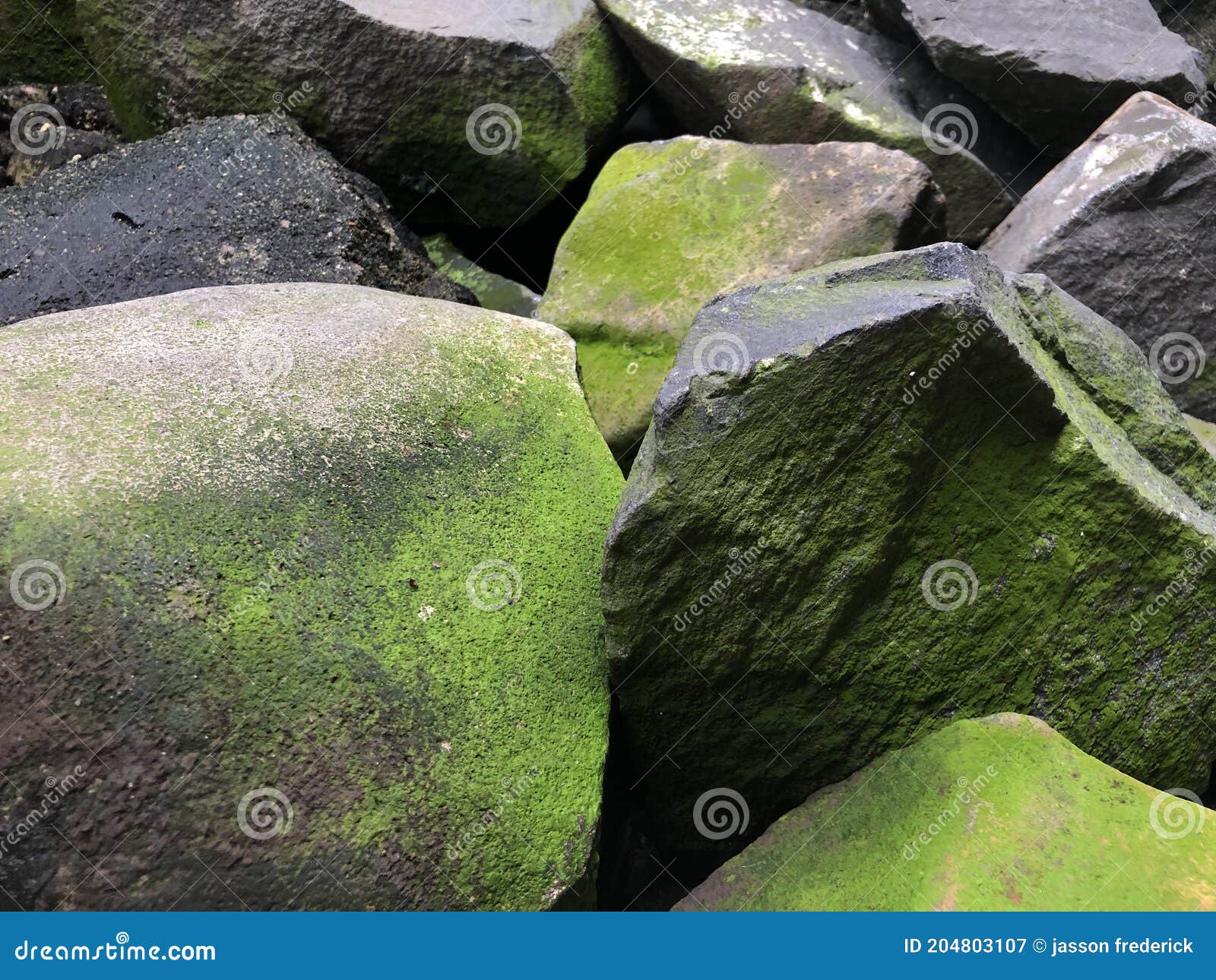 Mossy Rock 13 December 2020 Stock Image - Image of rock, nature: 204803107