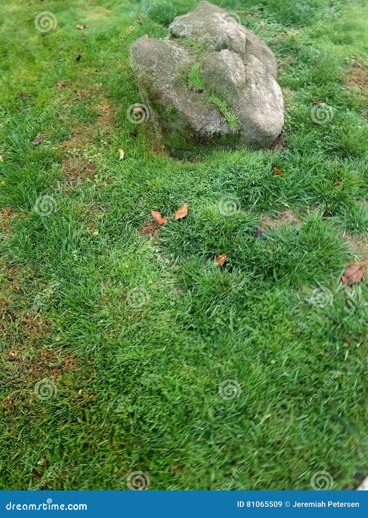 Mossy rock stock image. Image of moss, grass, rock, mossy - 81065509
