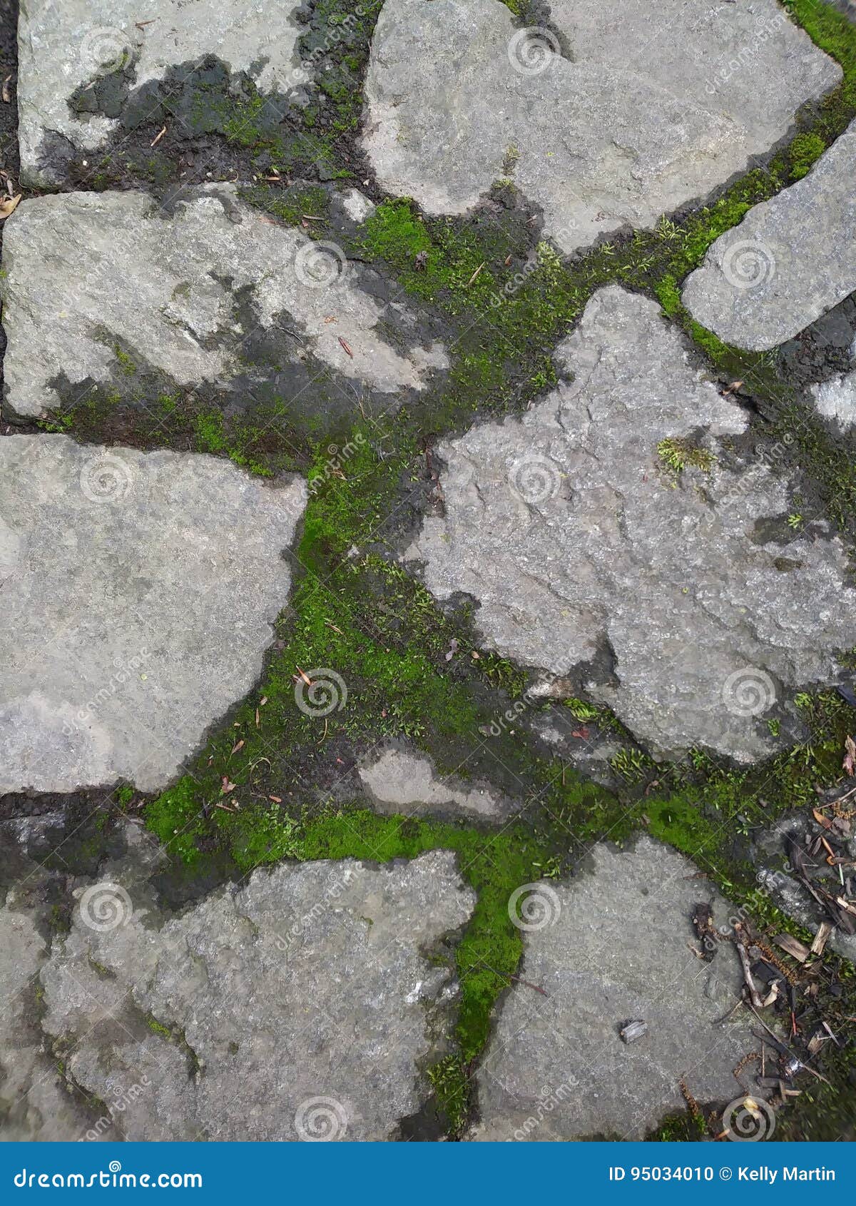 Mossy Rock Path Pathway Zen Stock Photo - Image of stone, rock: 95034010