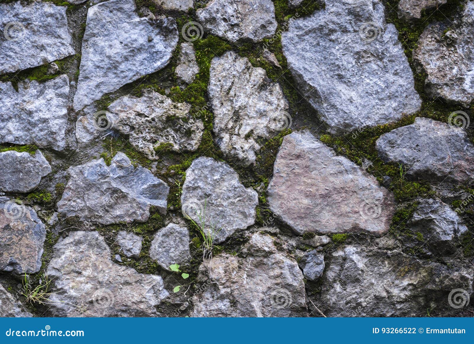 Mossy Rock Texture Seamless