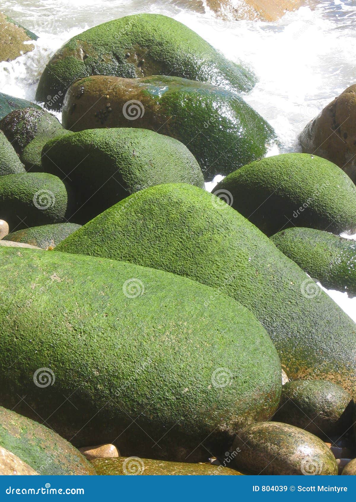 Mossy rocks stock image. Image of emerald, slippery, rocks - 804039