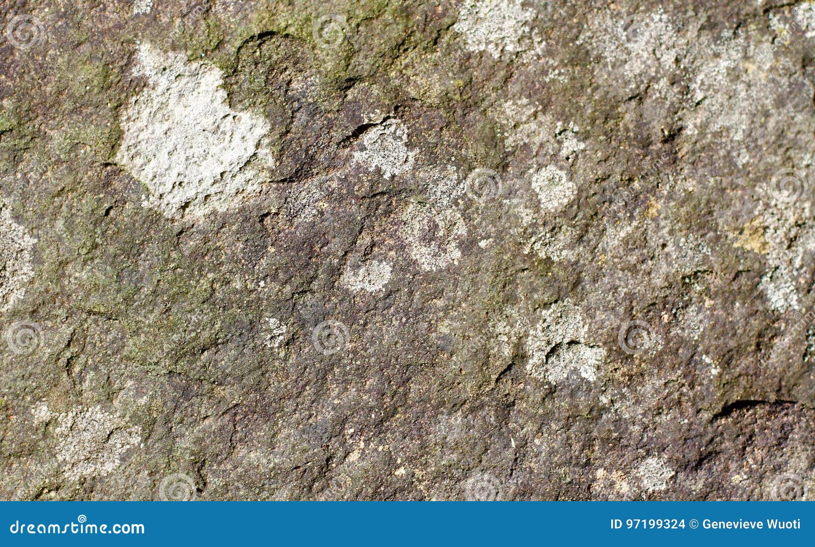 Mossy rocks stock photo. Image of stone, grey, lines - 97199324