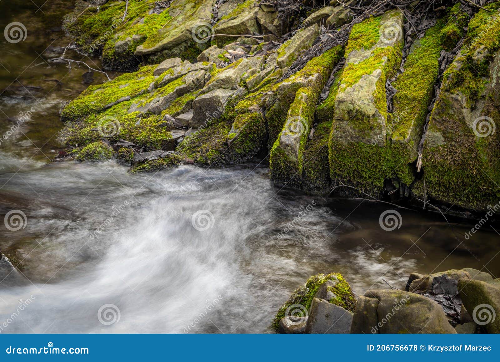 Mossy Rocks on the Edge of River Stock Photo - Image of woodland ...