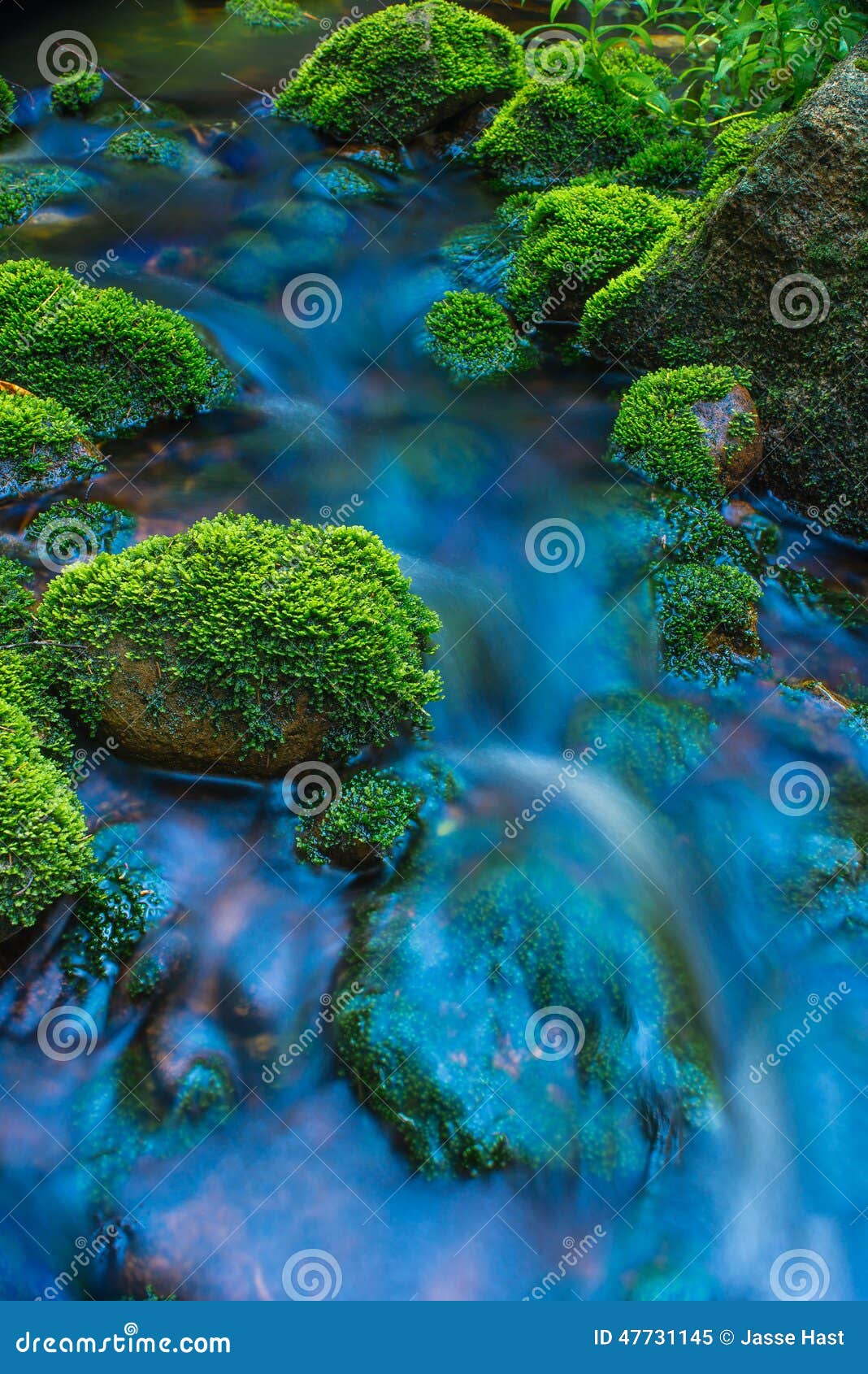 Mossy rocks stock image. Image of exposure, color, tourism - 47731145