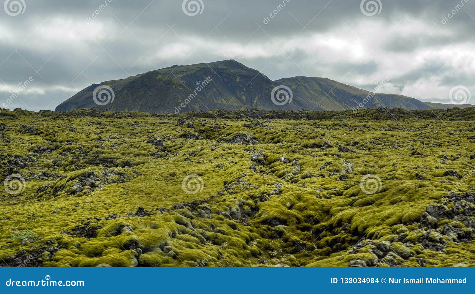 Mossy Rocks on the Lava Field in Eldhraun, South Iceland Stock Photo ...