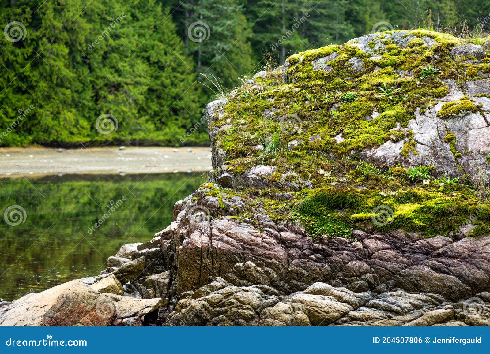Mossy Rocks at Mansons Landing Provincial Park Stock Photo - Image of ...