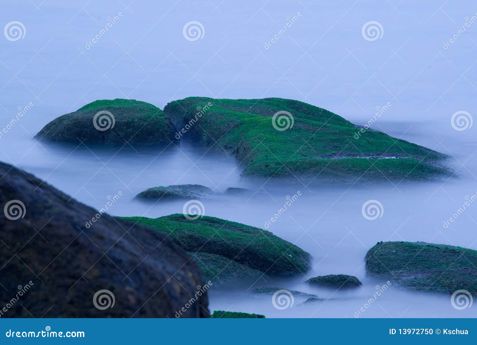 Mossy rocks at sea stock photo. Image of nature, mosses - 13972750