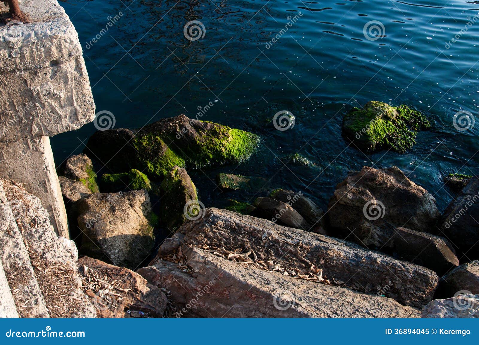 Mossy Rocks on Shore and Sea Stock Image - Image of surface, bright ...