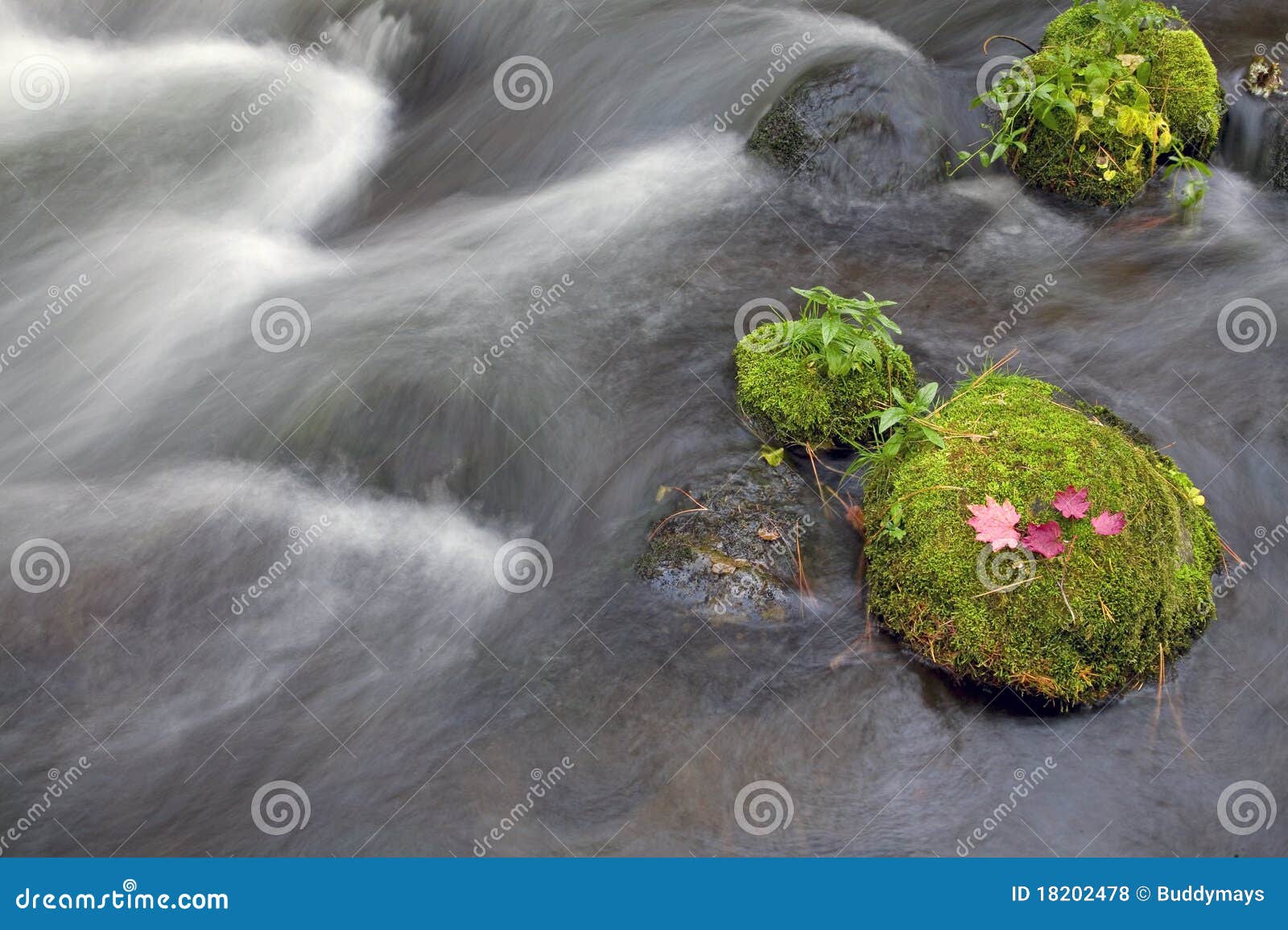 Mossy Rocks in a stream stock photo. Image of stream - 18202478