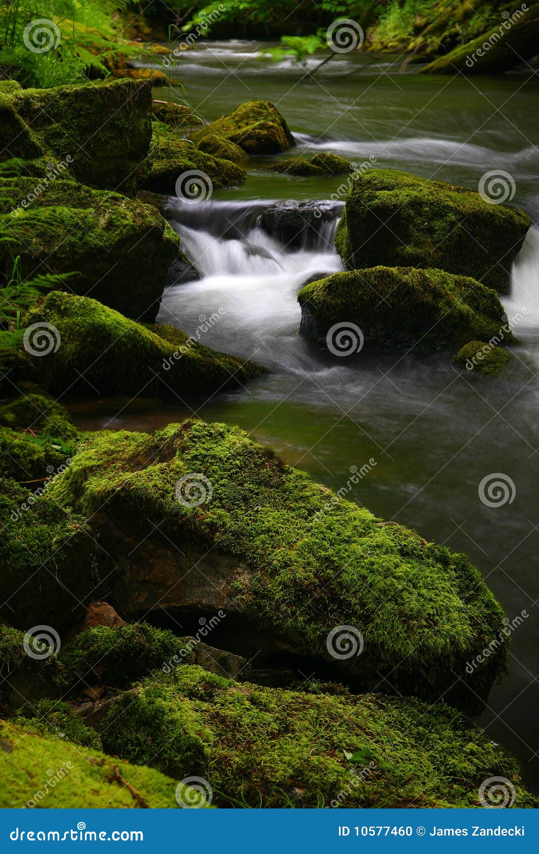Mossy rocks and water stock photo. Image of moss, stream - 10577460