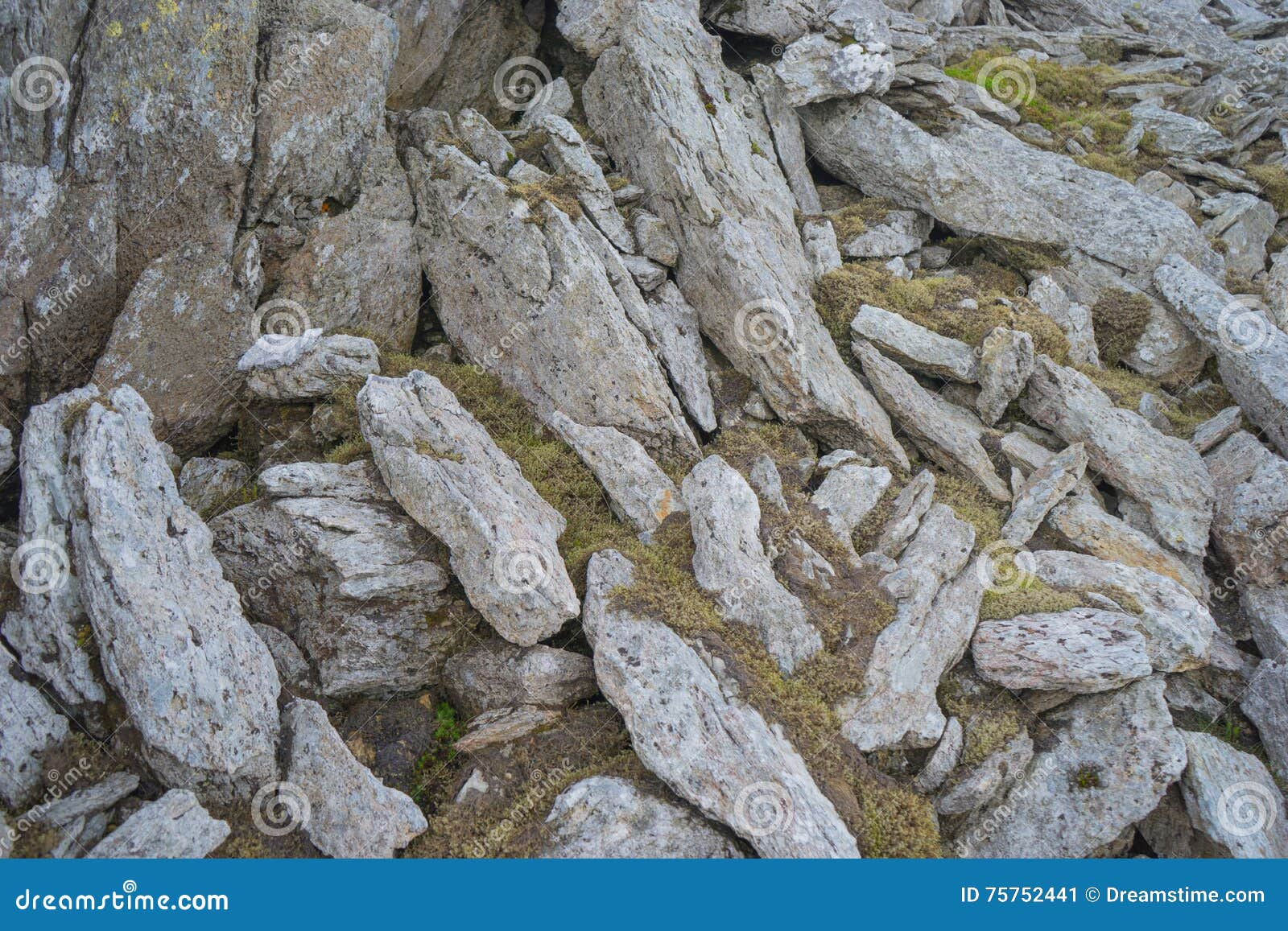 Mossy Rocks on a Welsh Mountain Side Stock Image - Image of natural ...