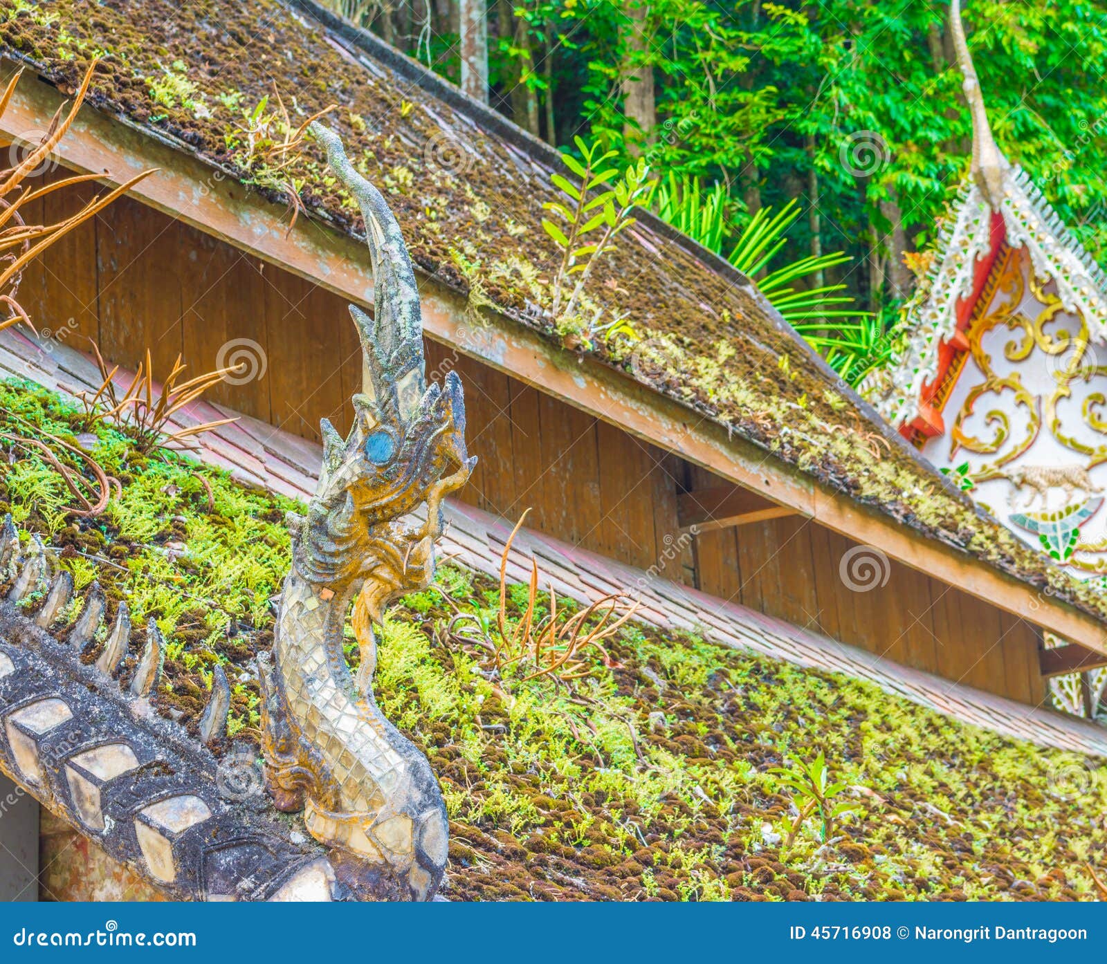 Mossy Roof On Timber Lodge Stock Image | CartoonDealer.com #75121981