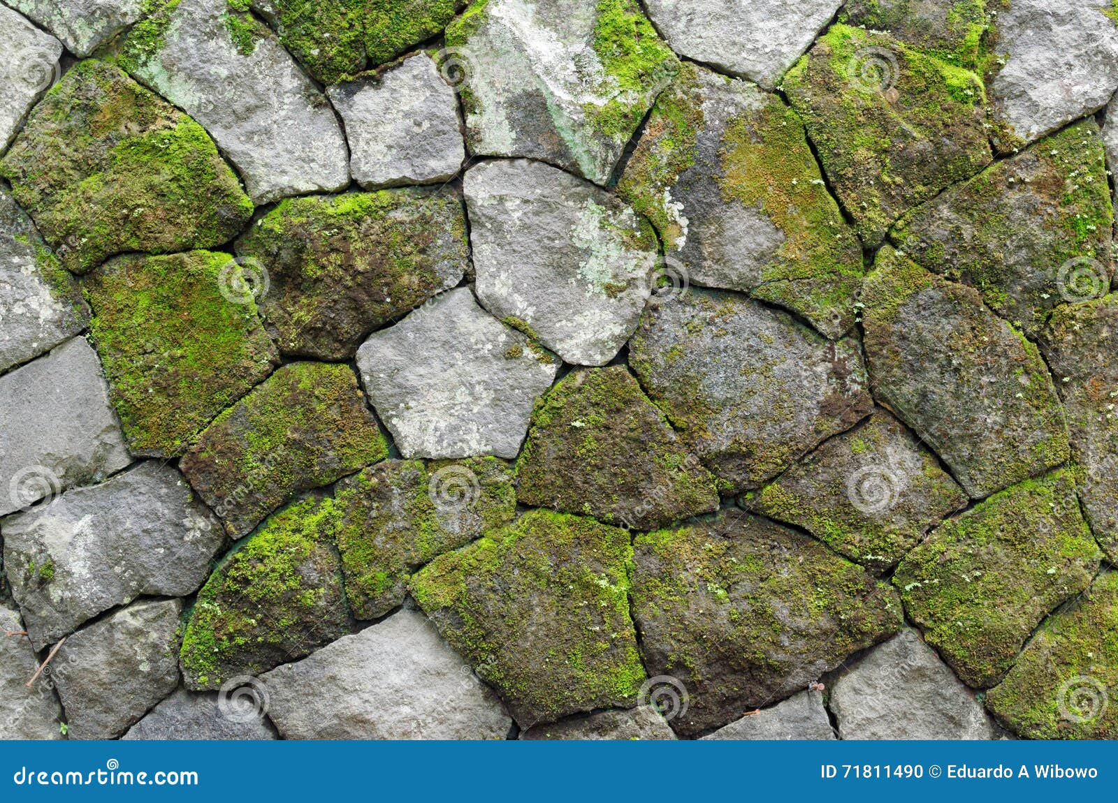 Mossy rustic stone wall stock photo. Image of mossy, growth - 71811490
