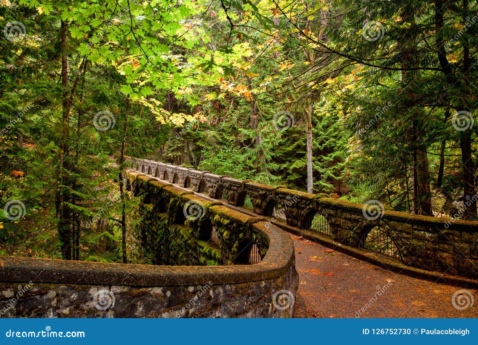Mossy Stone Bridge Trail through Lush Forest Stock Photo - Image of ...