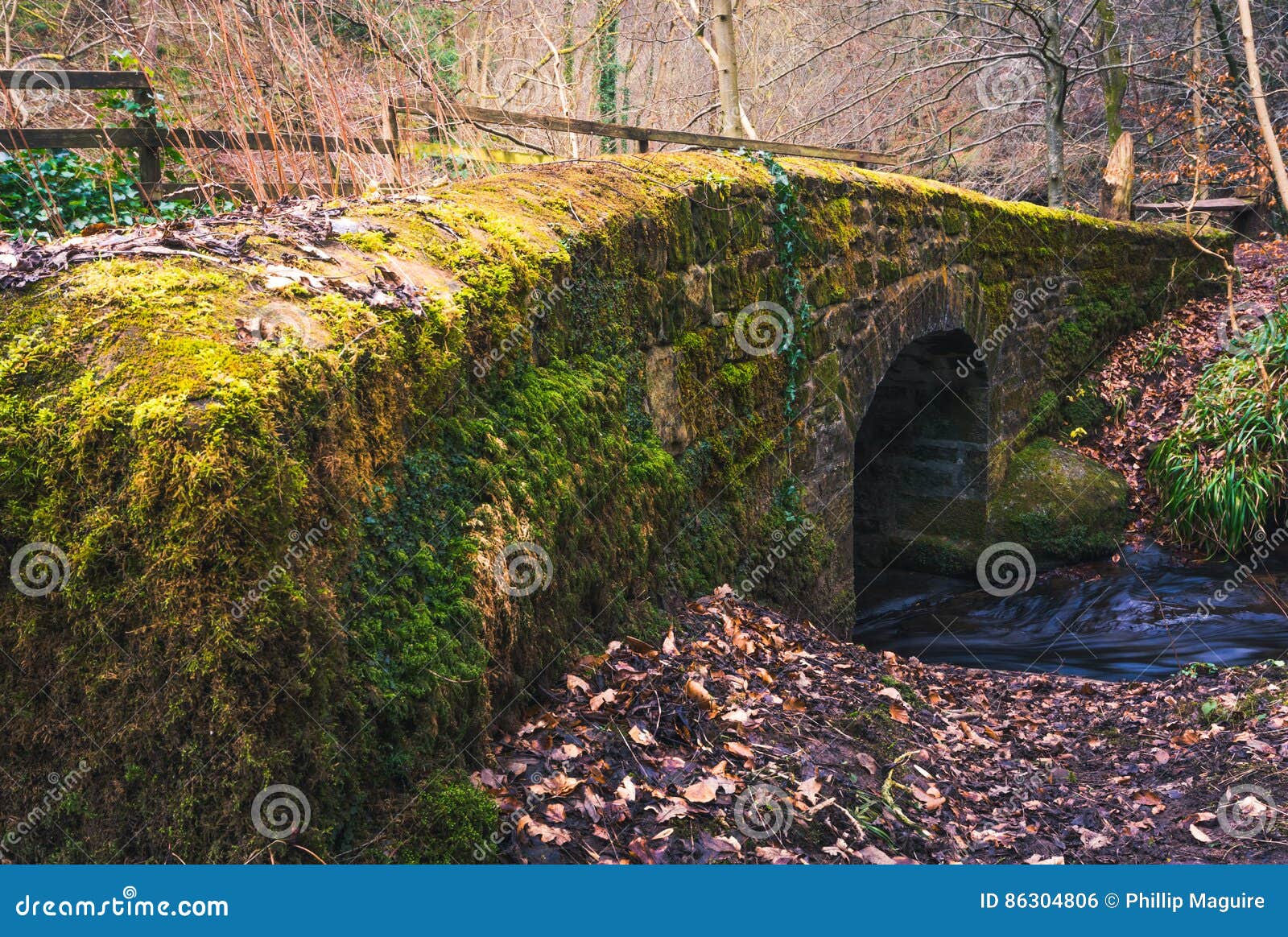 Mossy stone bridge stock photo. Image of peaceful, trees - 86304806