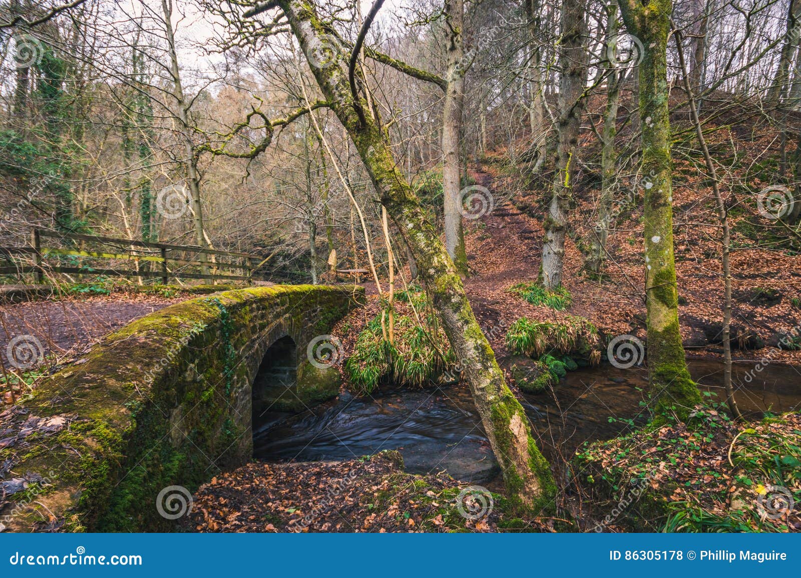 Mossy stone bridge stock photo. Image of tourism, bridge - 86305178