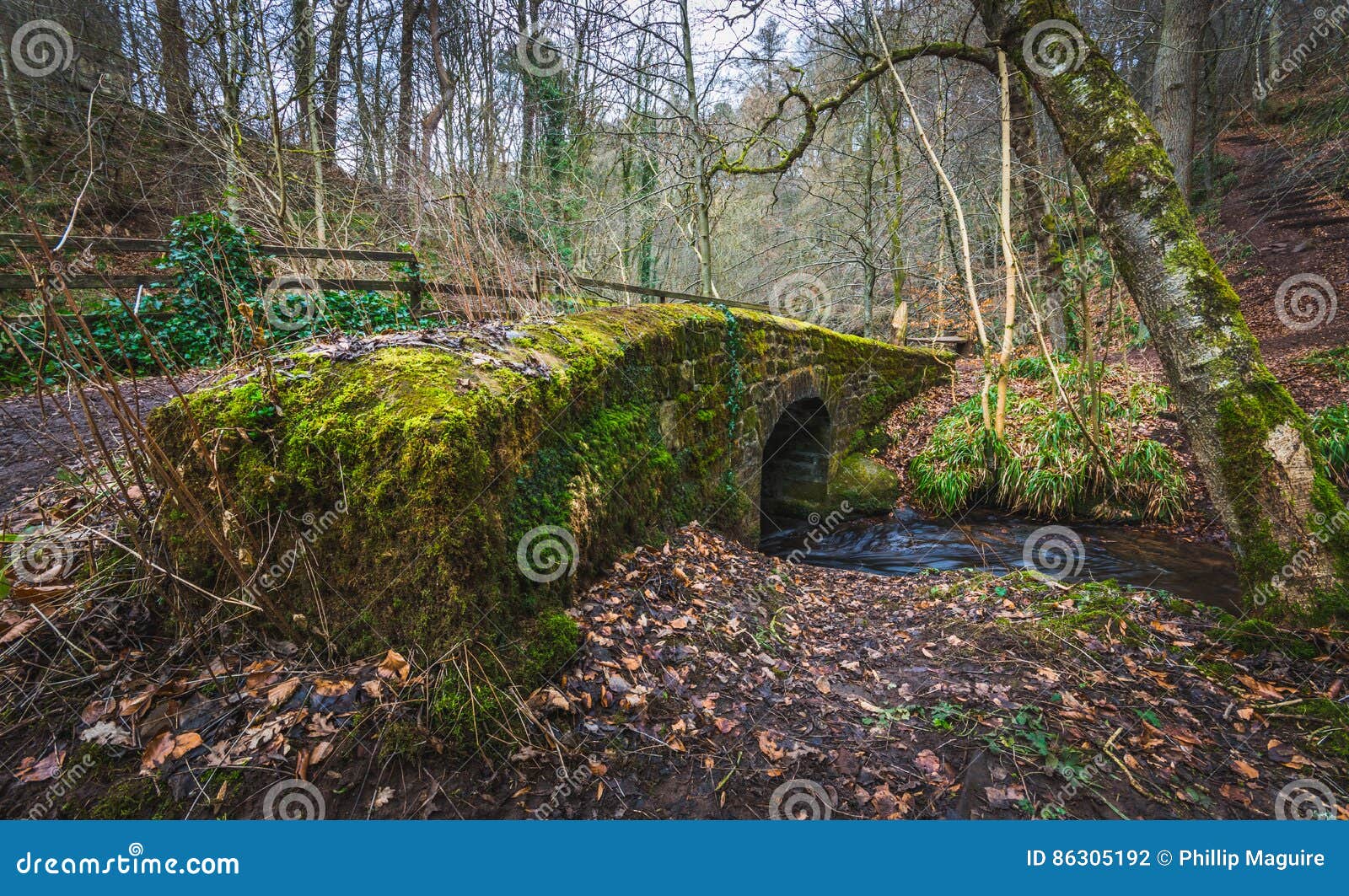Mossy stone bridge stock photo. Image of cumbria, landscape - 86305192