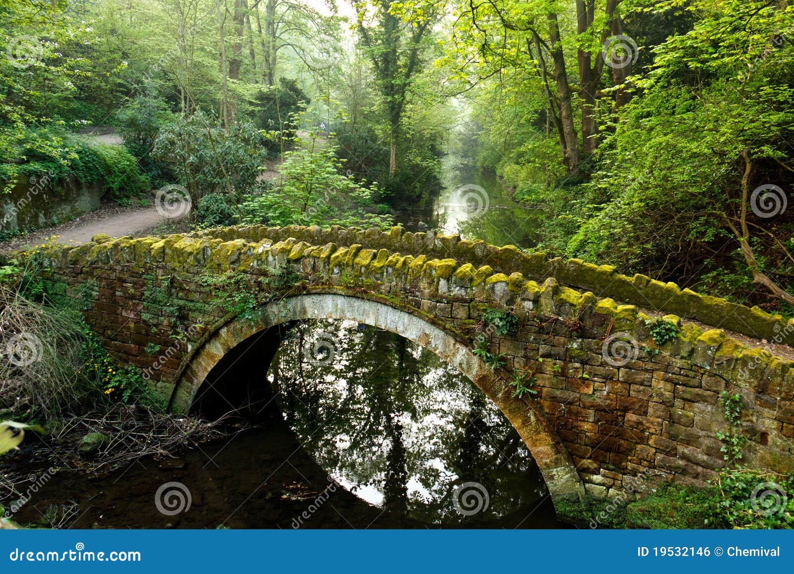 Mossy Stone Footbridge stock photo. Image of bridge, mossy - 19532146