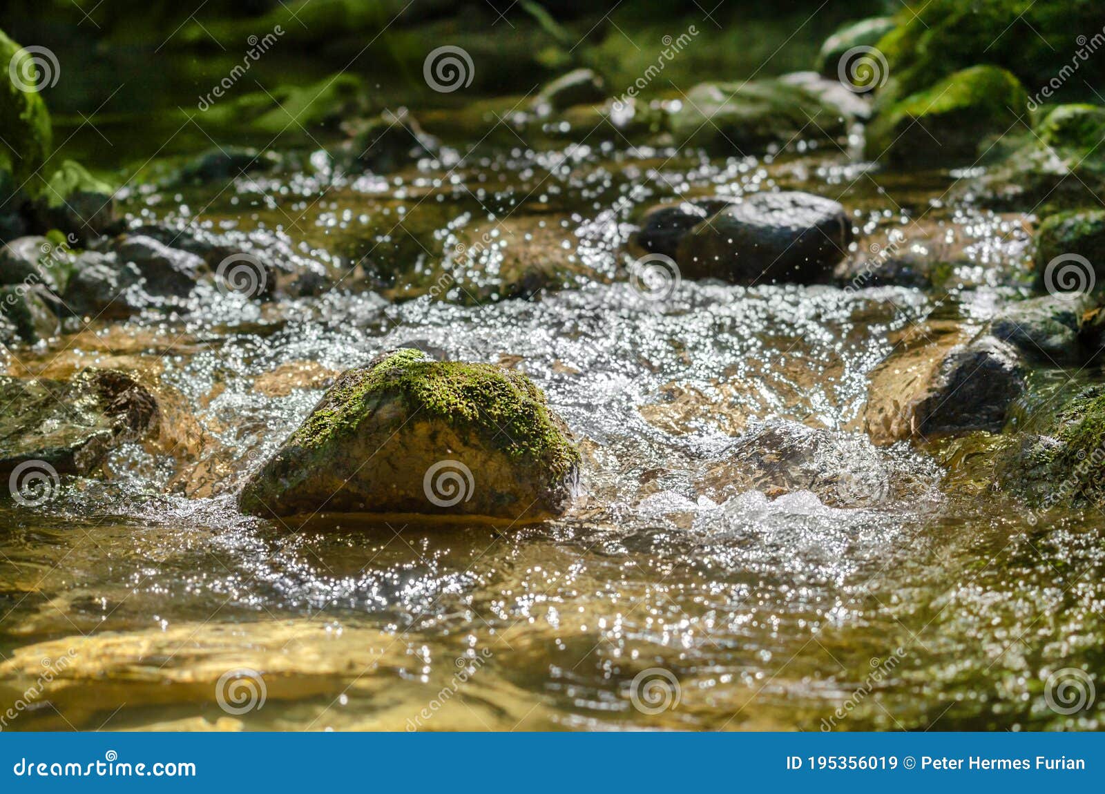 Mossy Stone in a Rushing Mountain Stream Stock Image - Image of ...