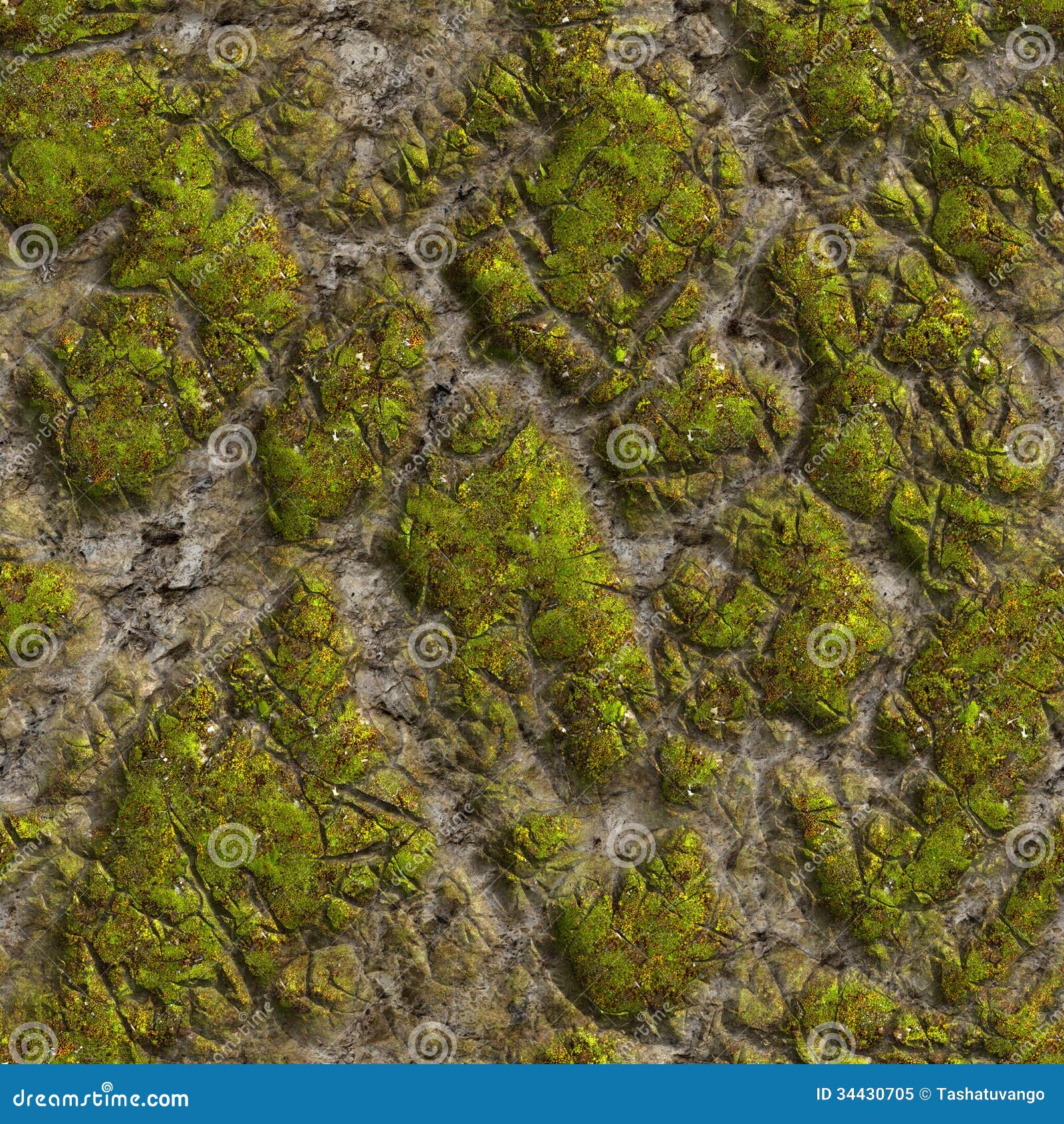 Seamless Moss Rock Texture