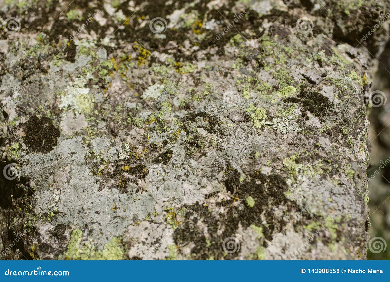 Mossy Stone Surface As Texture and Background for Design. Closeup View ...