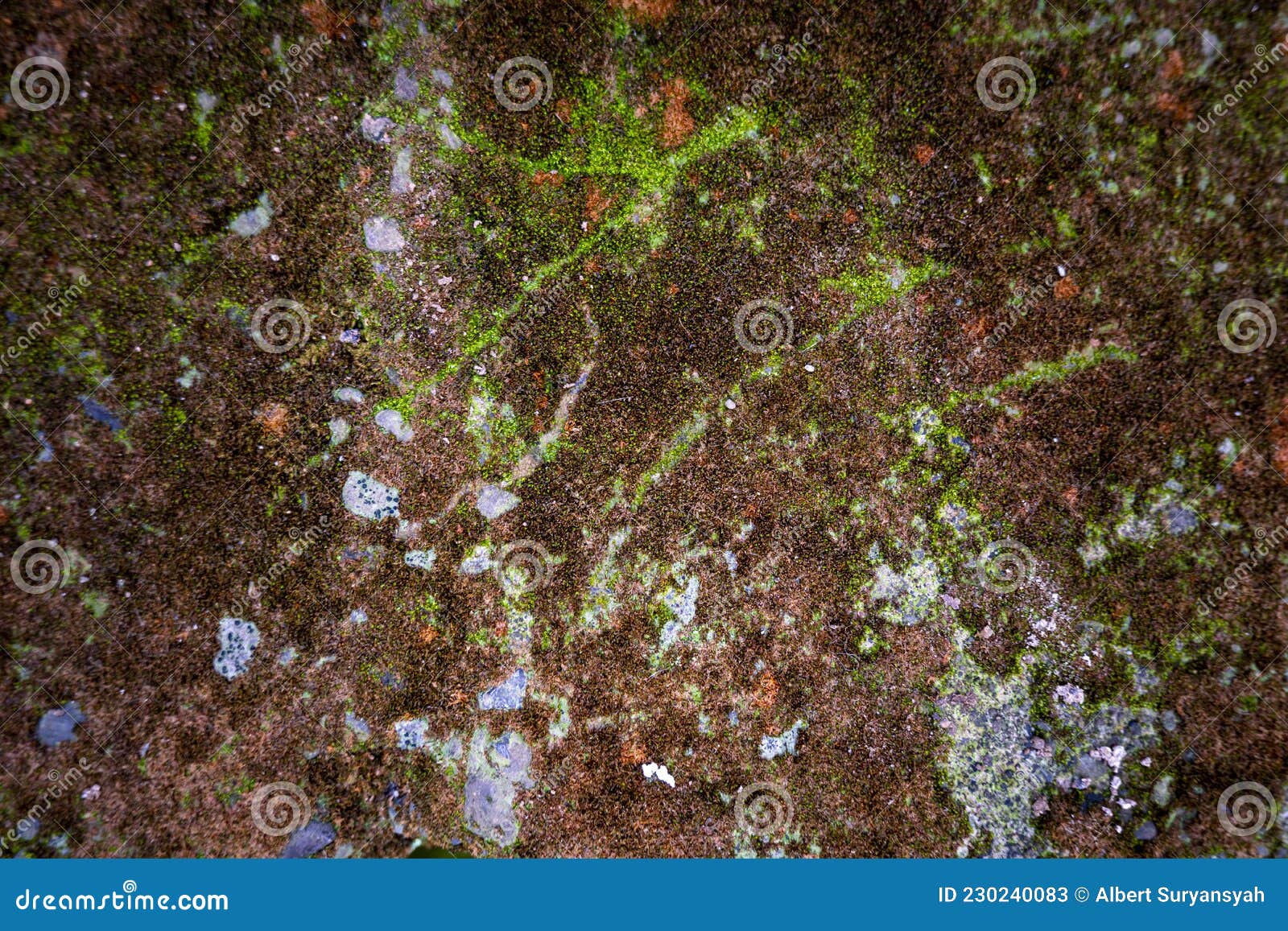 Mossy Stone Texture Background in Nature. Nature Background Stock Image ...