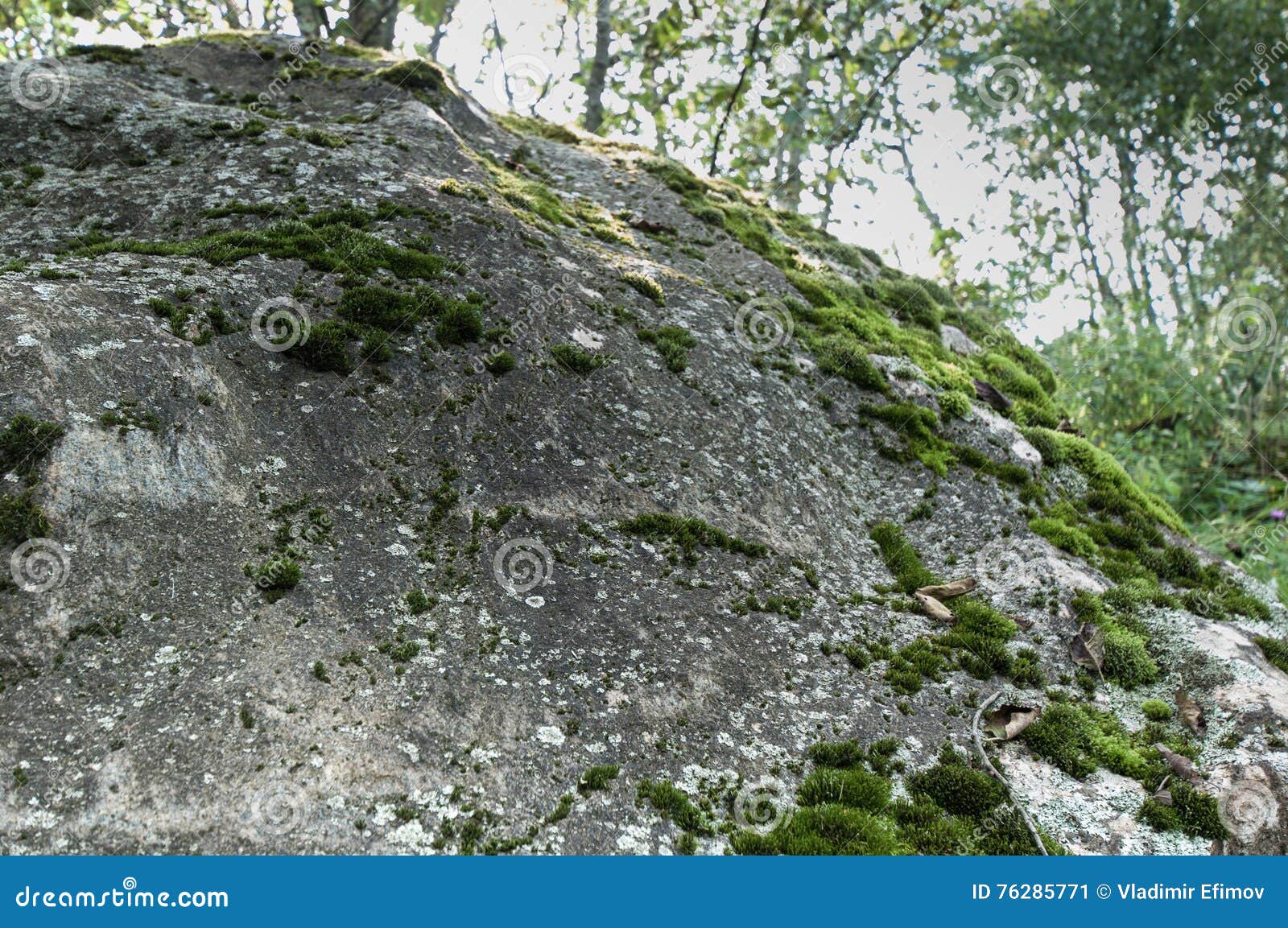 Mossy stone texture stock image. Image of material, moss - 76285771