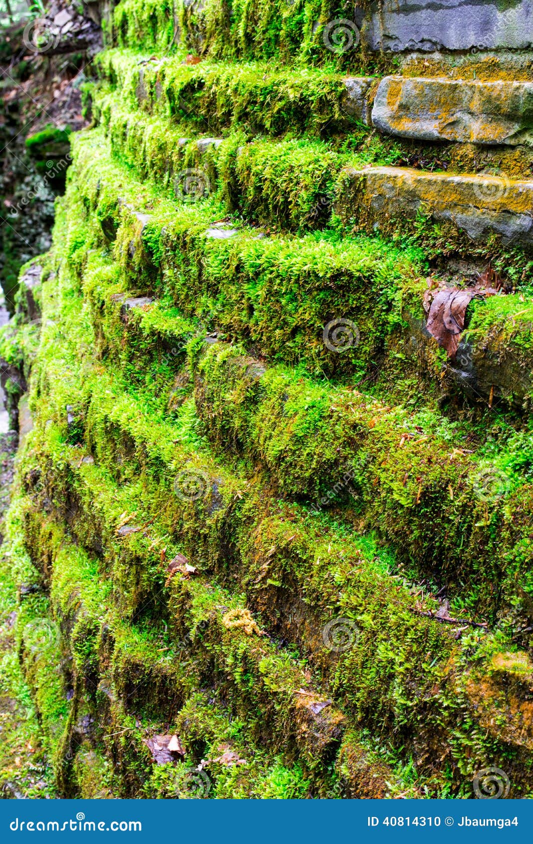 Mossy stone wall stock photo. Image of cabin, state, landscape - 40814310