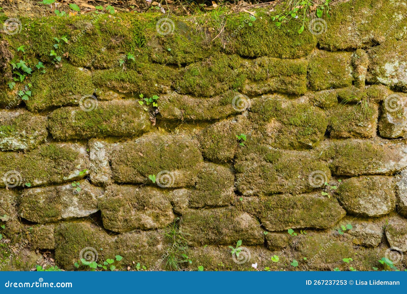 Mossy Stone Wall. Park of the Monsters. Stock Image - Image of century ...