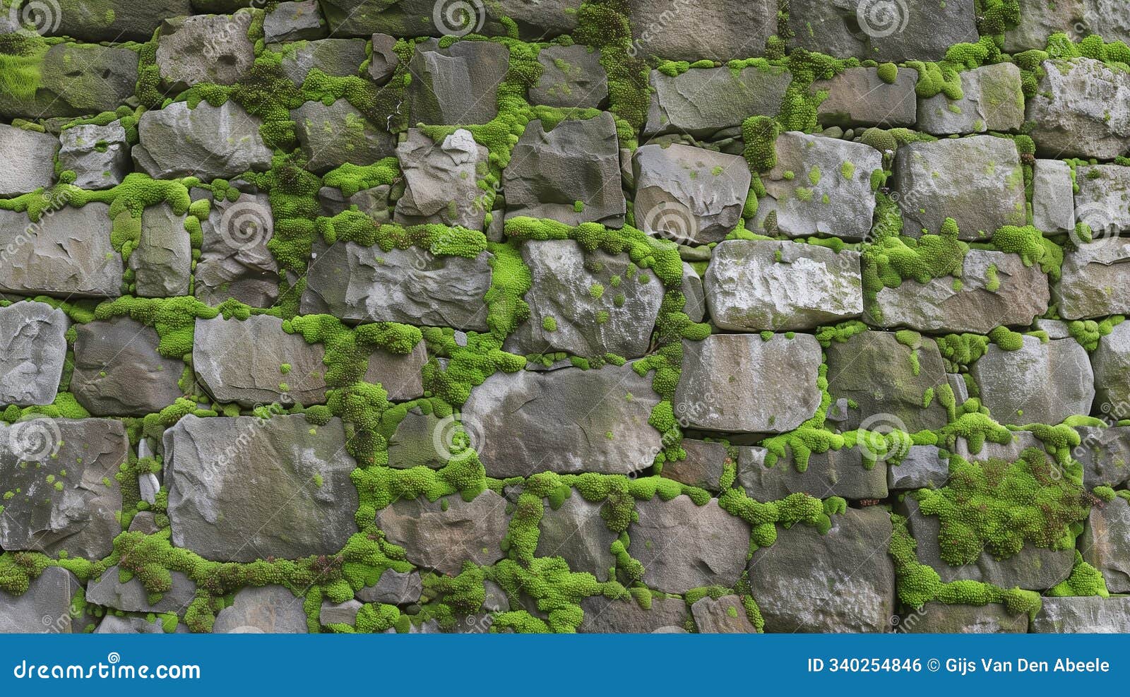 Mossy Stone Wall Texture Background Stock Illustration - Illustration ...