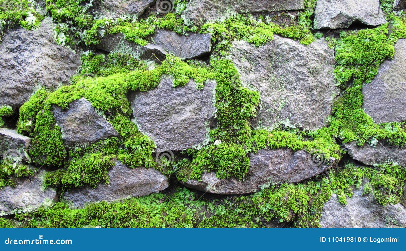 Mossy Stone Wall Texture Background Stock Photo - Image of lightbulb ...