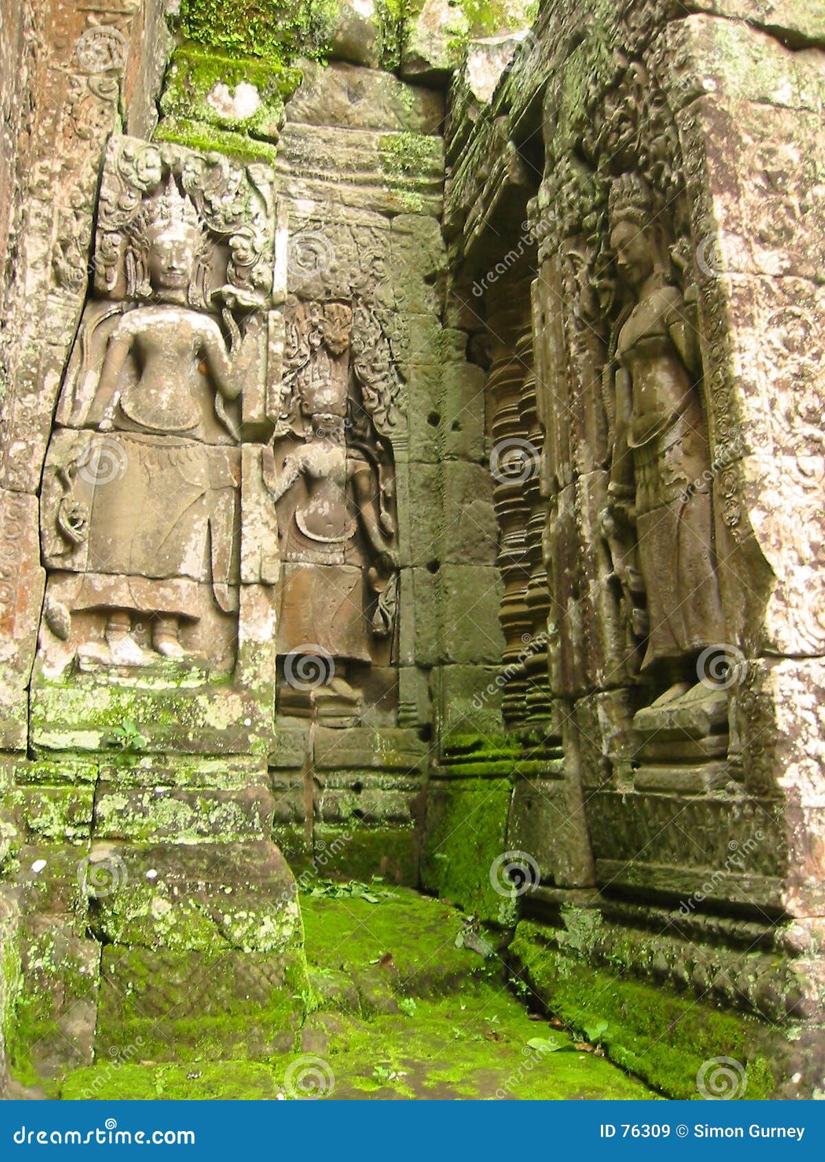 Mossy Stones Angkor Wat Temple Ruins Cambodia Stock Image - Image of ...