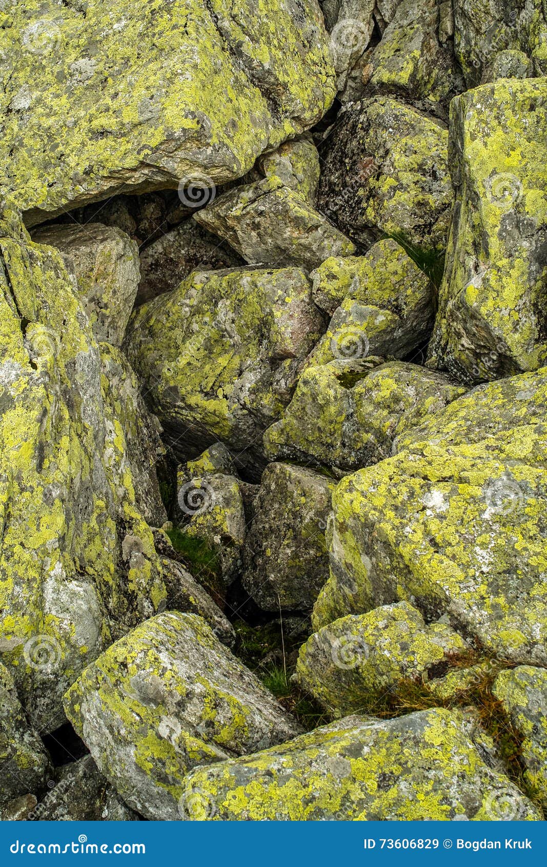 Mossy stones stock image. Image of stones, yellow, close - 73606829