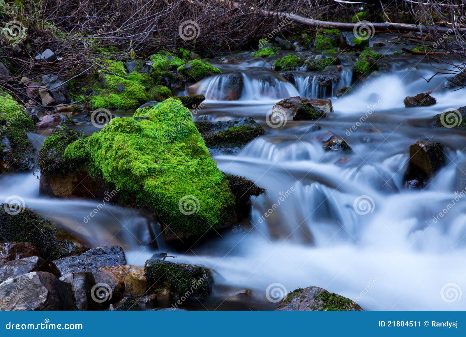 Mossy Stream stock image. Image of serene, leaf, rocks - 21804511