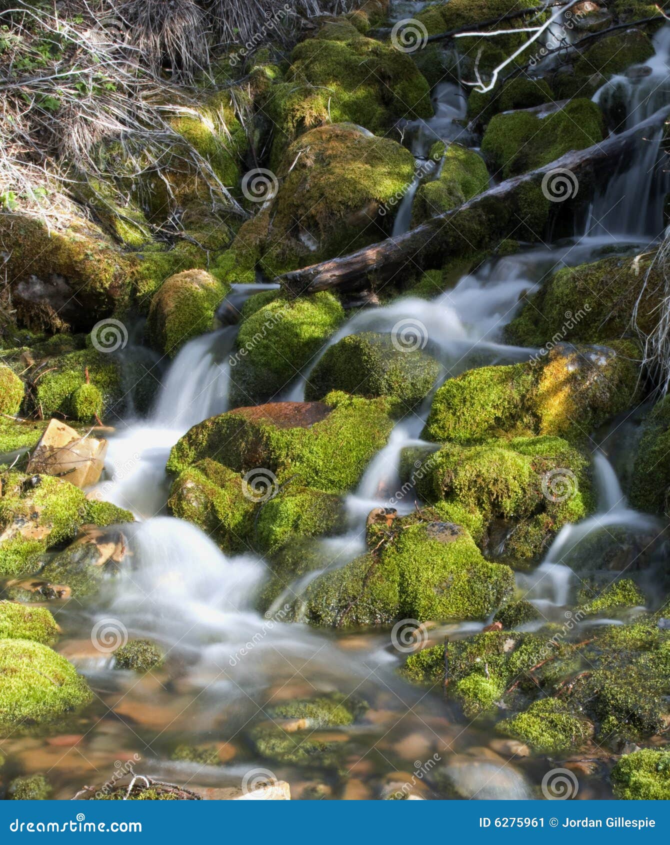 Mossy Stream stock image. Image of moss, silky, waterfall - 6275961