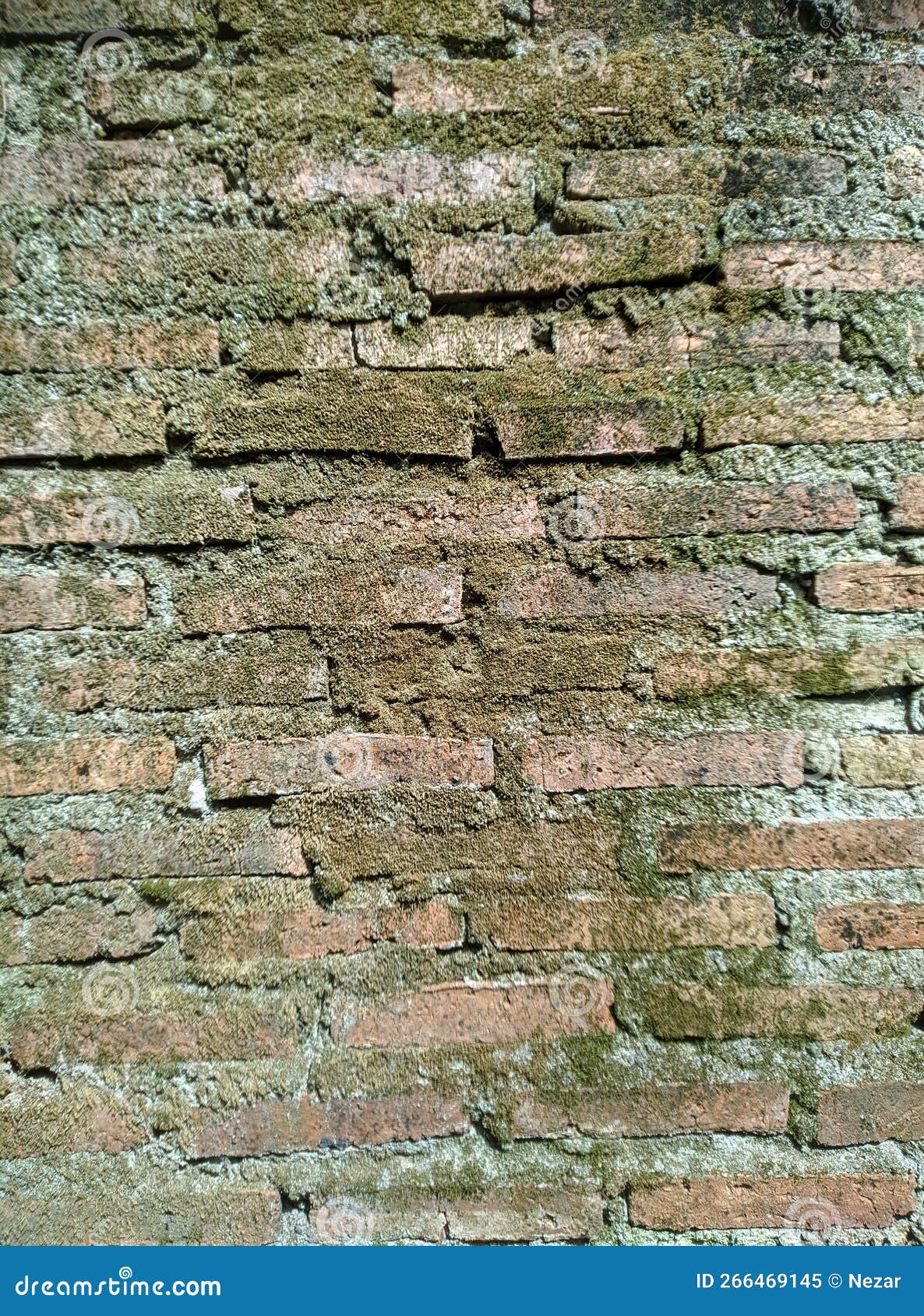 Mossy Texture Wall,for Background Image,futuristic Mossy Texture. Stock ...