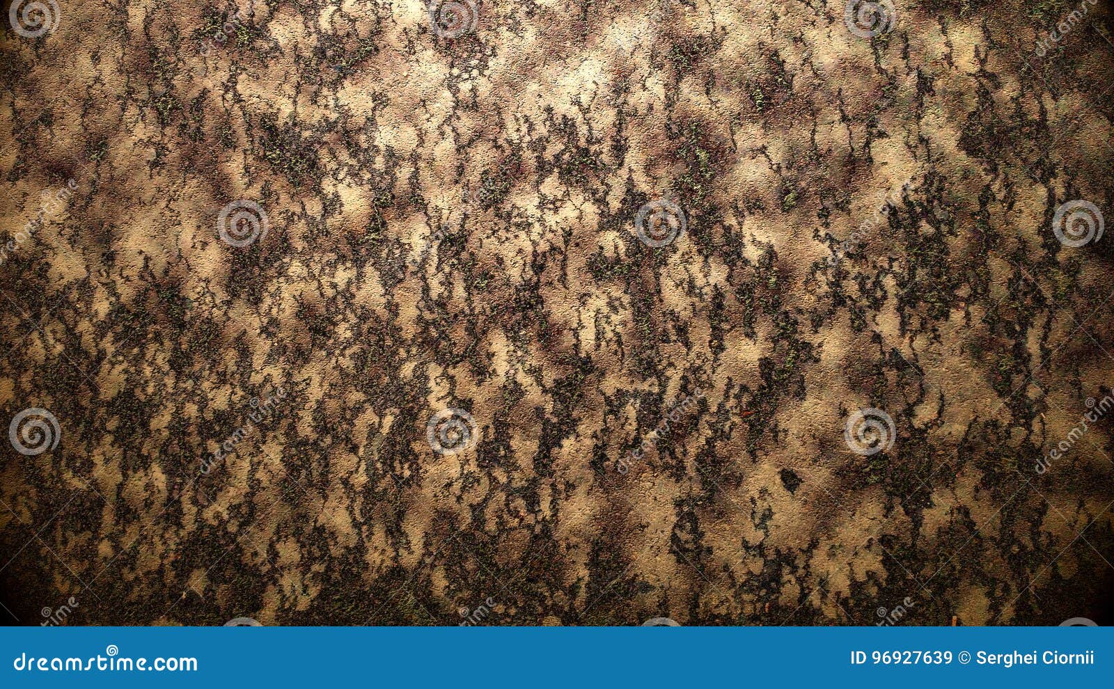 Old Rotten Plaster Wall Texture Stock Image | CartoonDealer.com #23027737