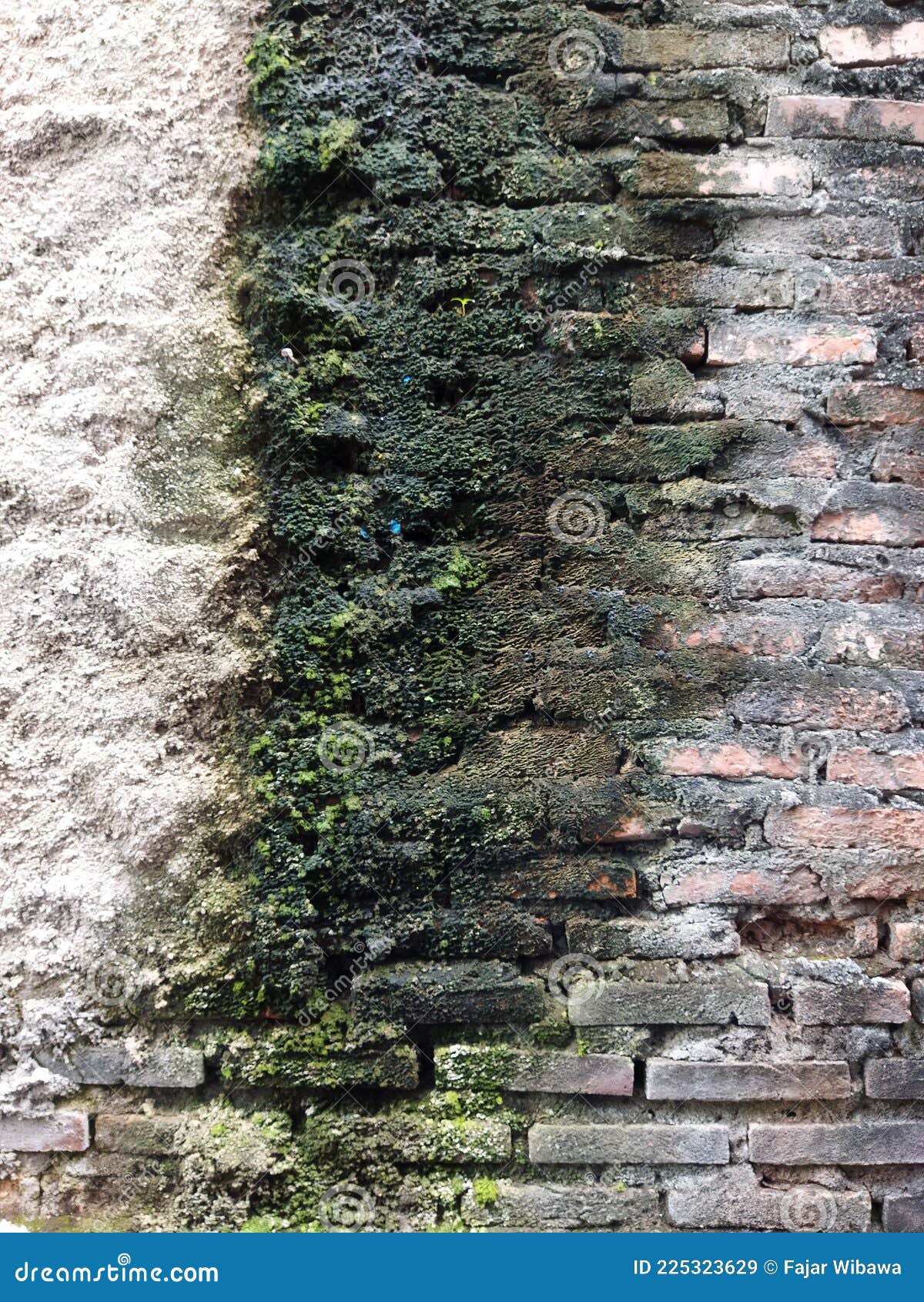 Mossy Wall Background stock image. Image of mossy, village - 225323629