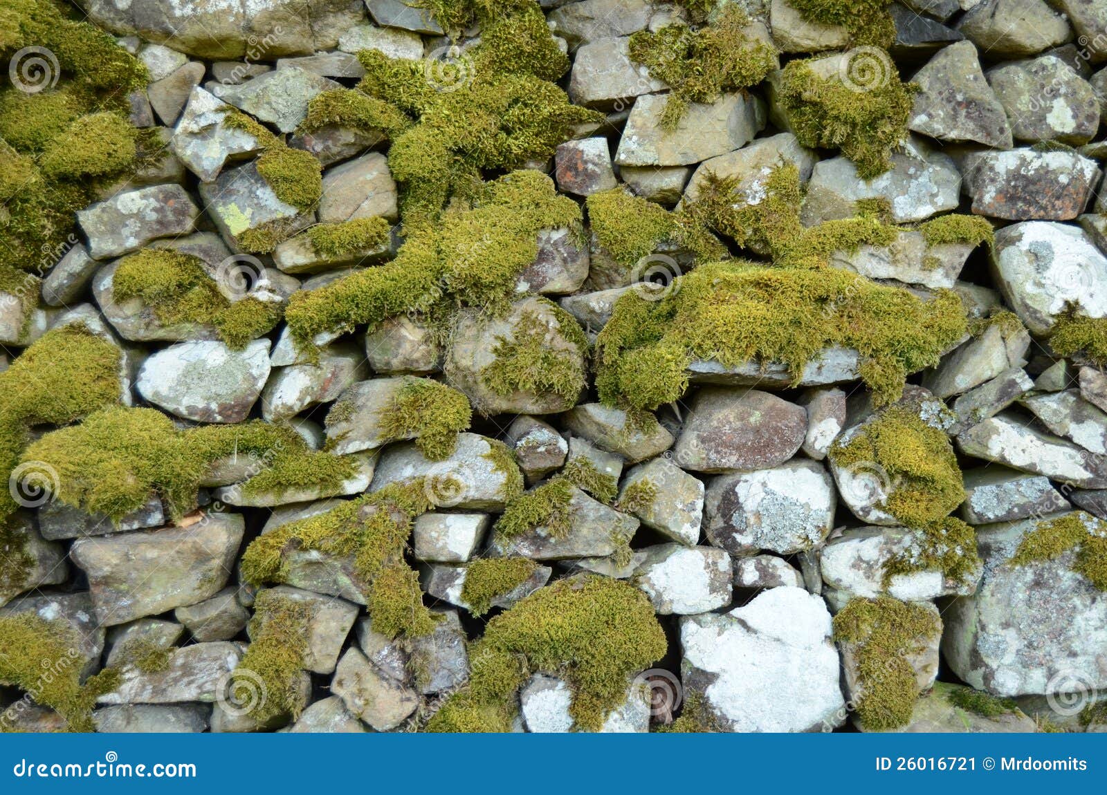 Mossy Wall Background stock image. Image of abandoned - 26016721