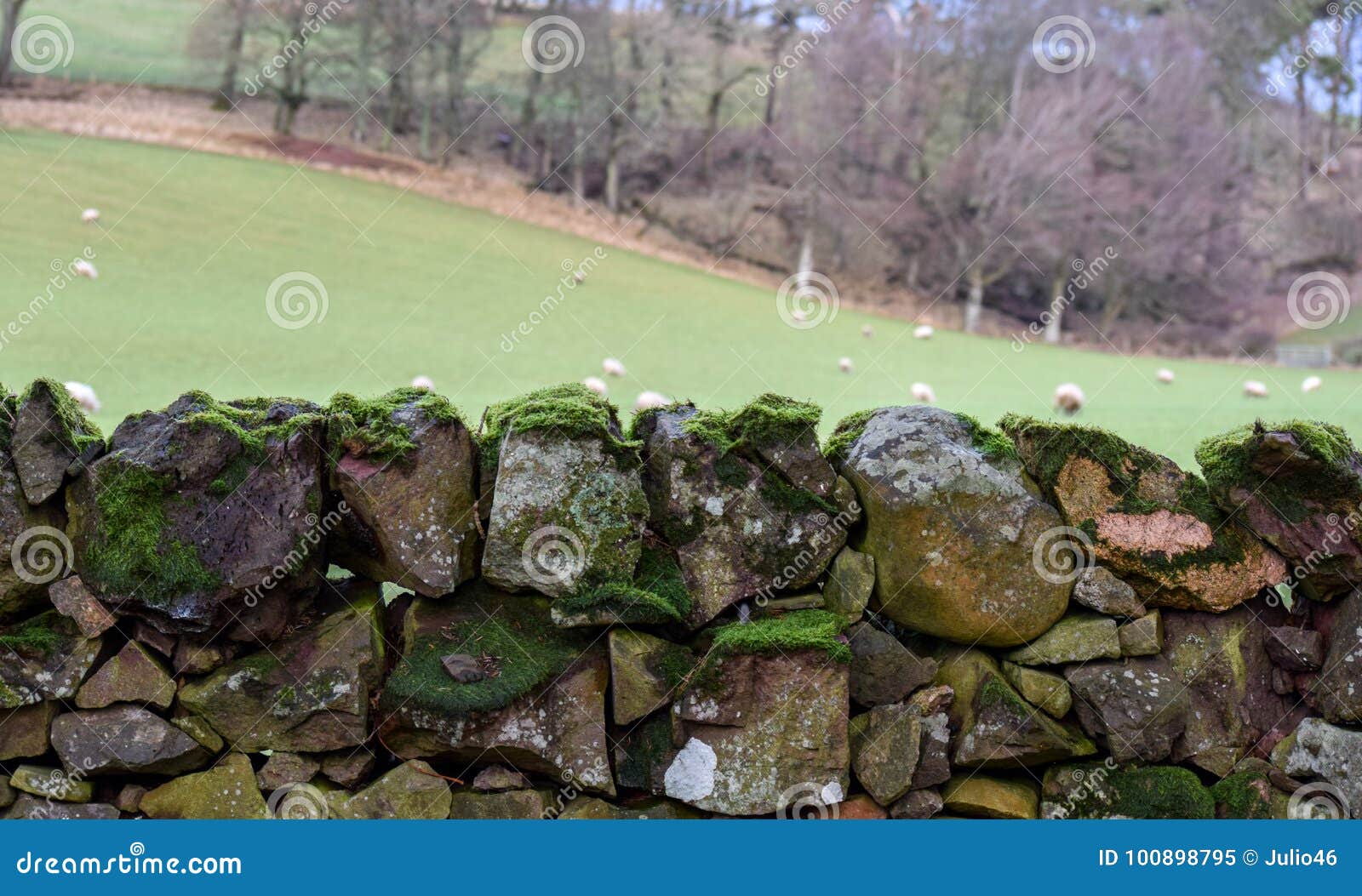 Mossy wall stock image. Image of scotland, beautiful - 100898795