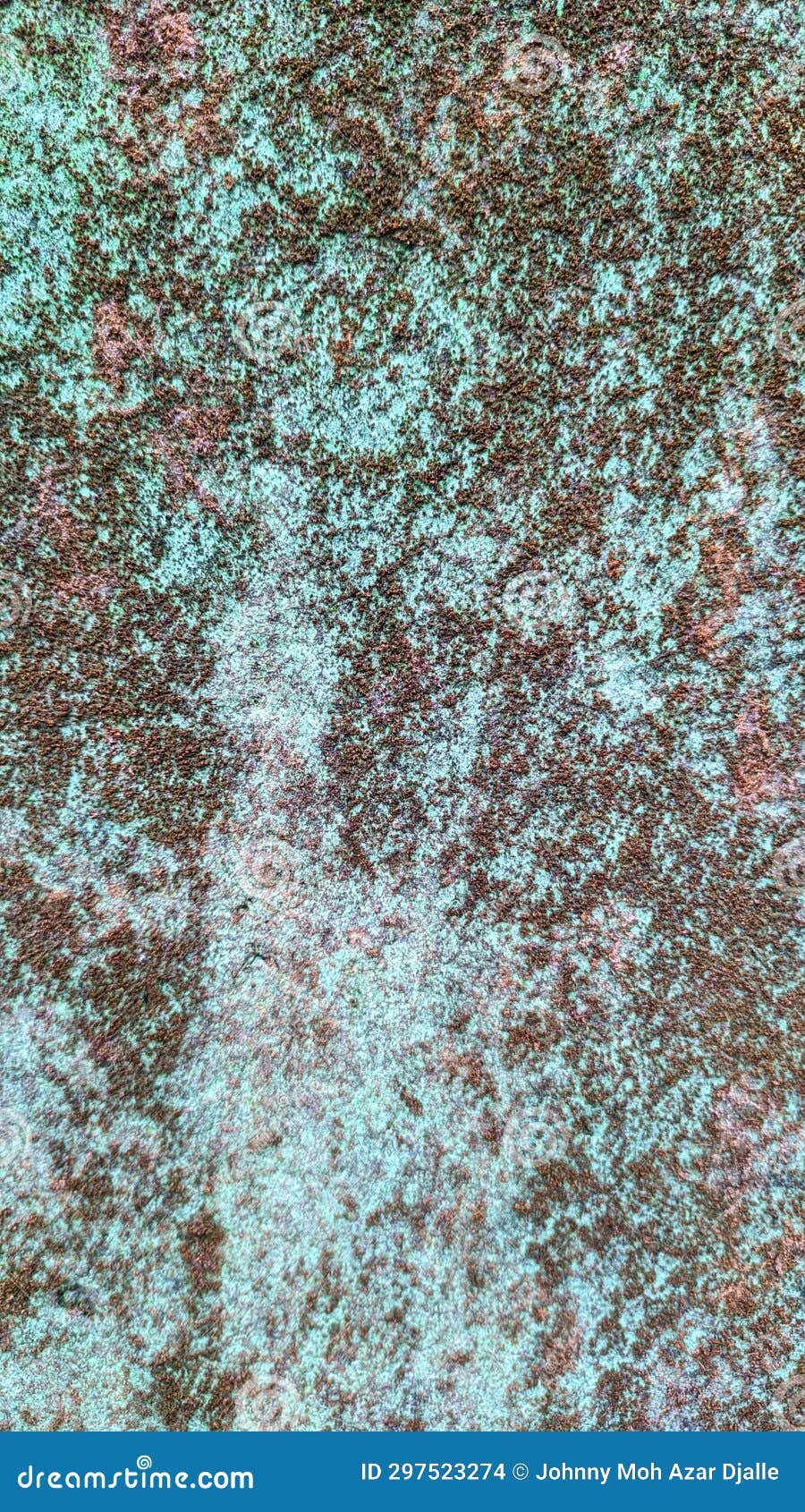 Mossy wall surface stock photo. Image of mossy, background - 297523274