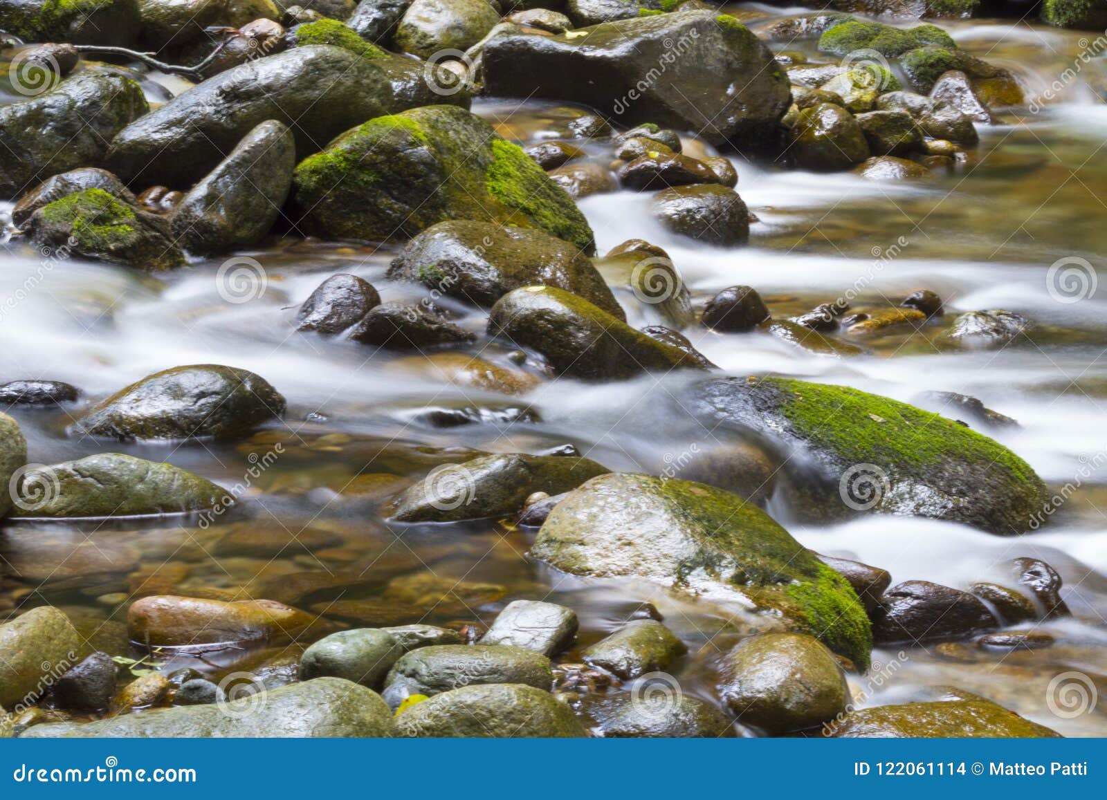 Mossy water stock photo. Image of level, beech, forest - 122061114
