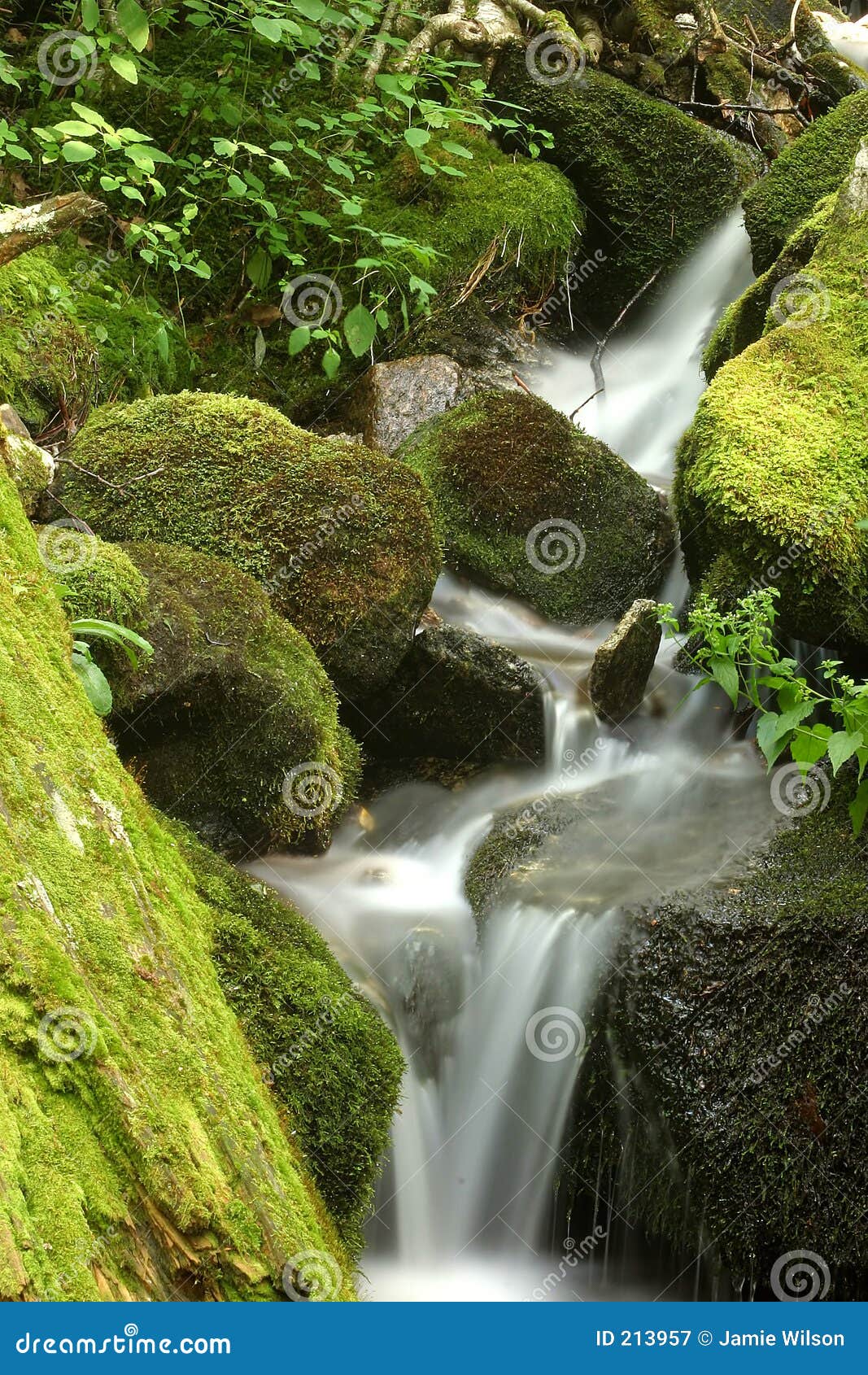 Mossy waterfall stock image. Image of nature, water, natural - 213957