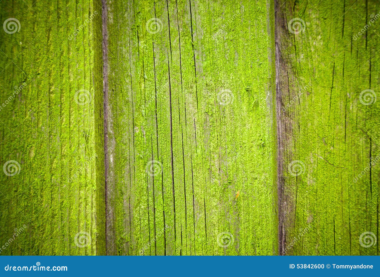 Mossy Wooden Background Texture Stock Photo - Image of wallpaper ...