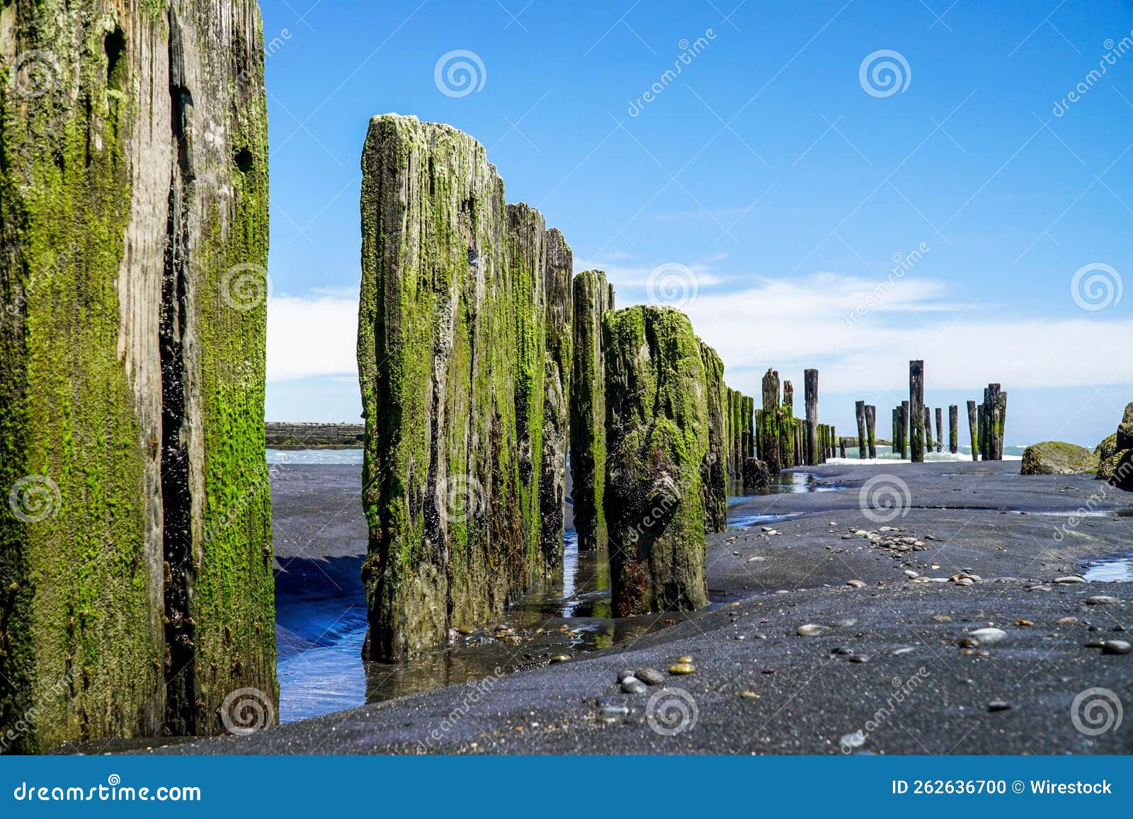 Mossy Wooden Poles at the Shore Stock Photo - Image of architecture ...