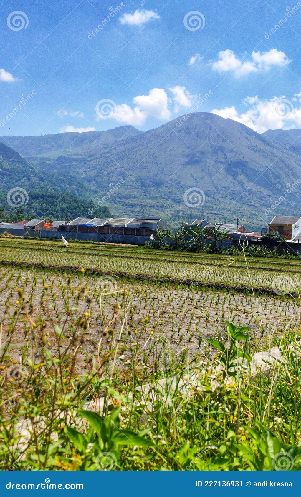 The Most Beautiful Guntur Mountain in Garut, West Java, Indonesia Stock ...